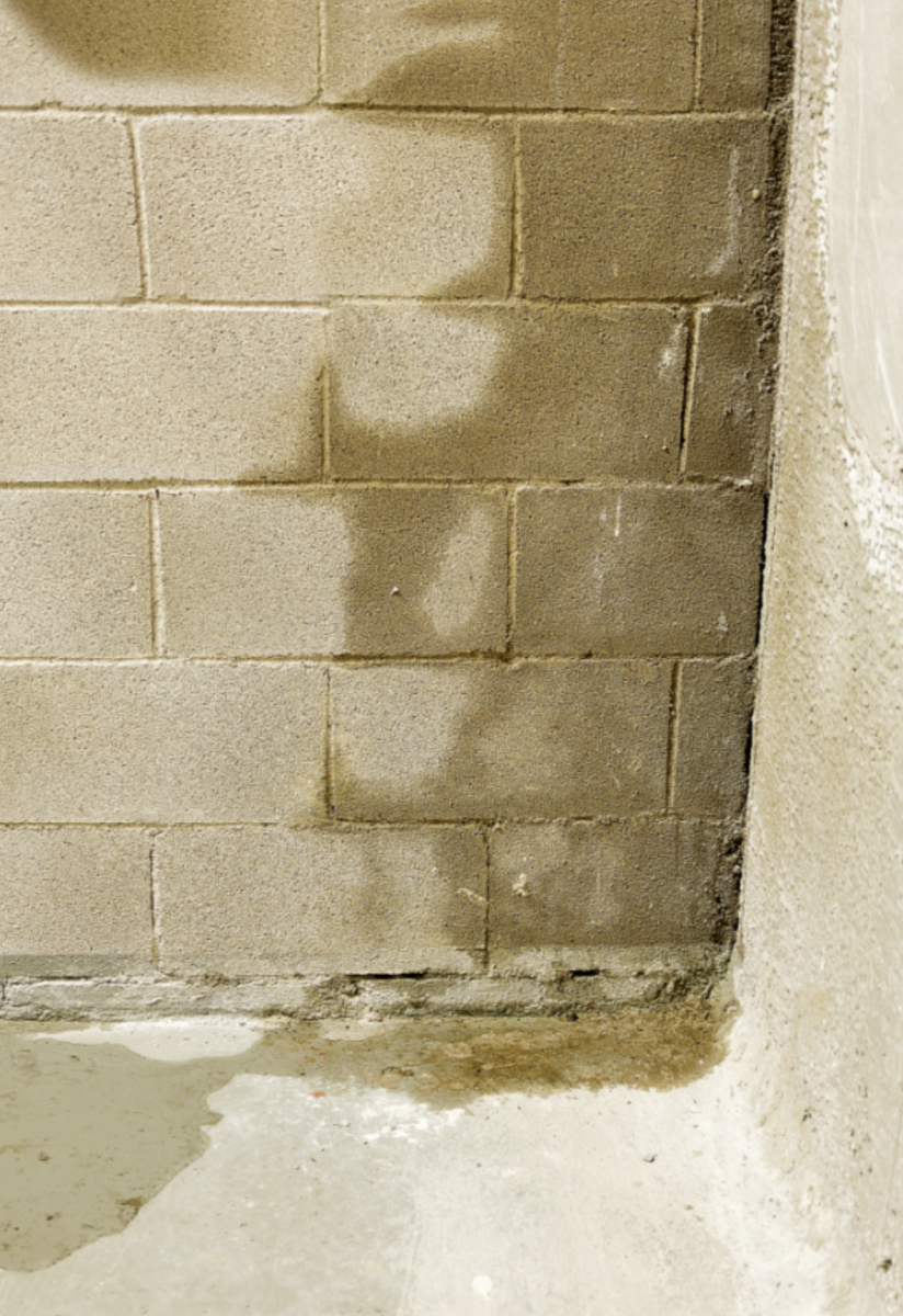 Flooding Basement Repair | Standard Water